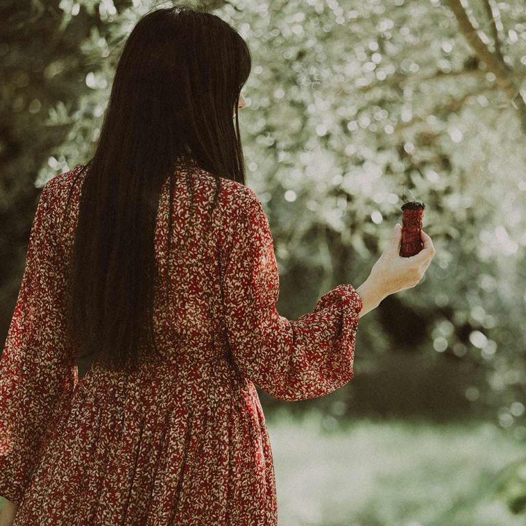 Sauge Rouge : Bienfaits, Utilisation et Rituel de Purification - Vasana ...